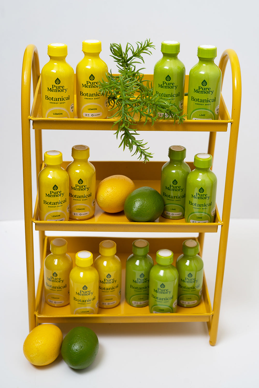 Wholesale – Pure Memory Water